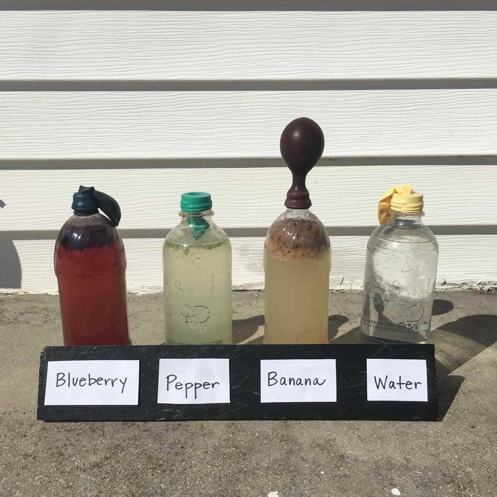 Environmental Science Experiments Environmental Science Experiments